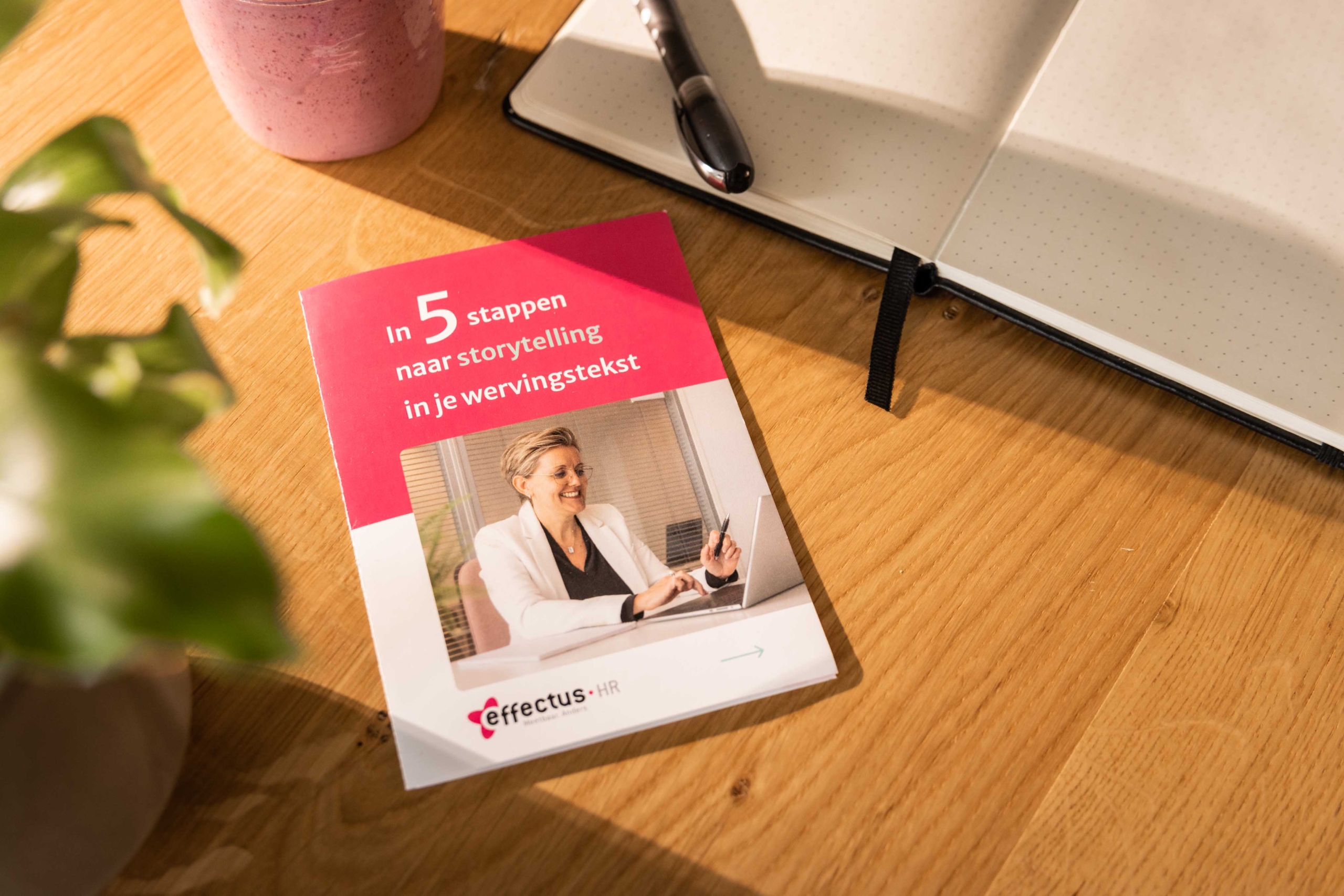 - Effectus-HR Download stappenplan storytelling